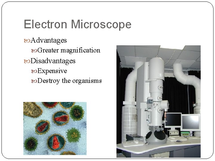 Cell Structures Processes AP Biology Chapter 6 Human