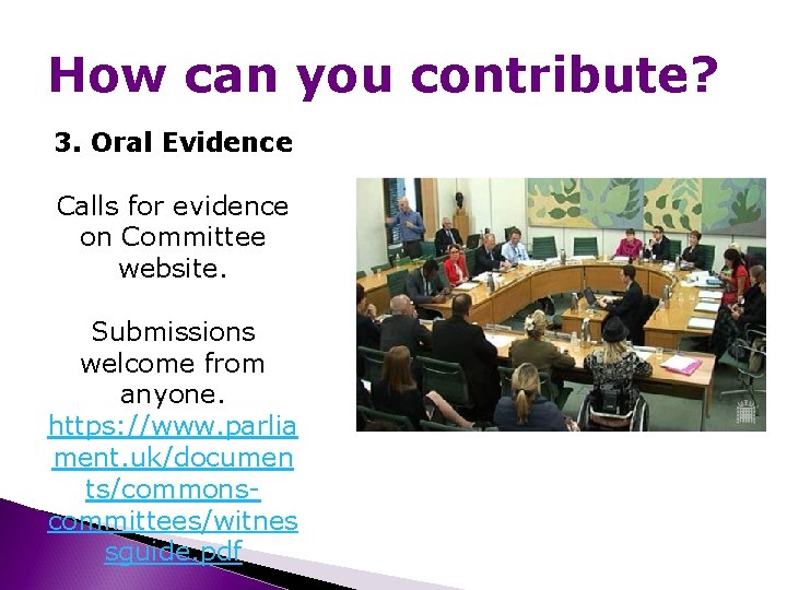 Giving evidence to Select Committees 2016 Select committees