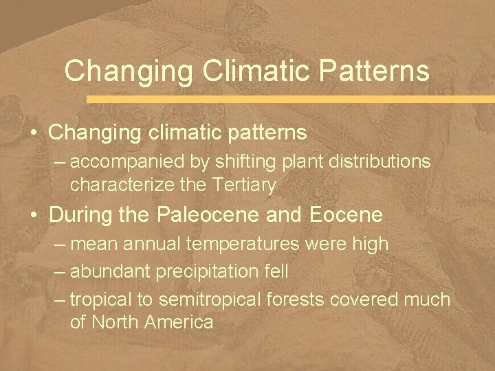 Cenozoic Life www geo ucalgary camacraetimescaletimescale gif Cenozoic