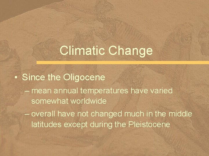 Cenozoic Life www geo ucalgary camacraetimescaletimescale gif Cenozoic