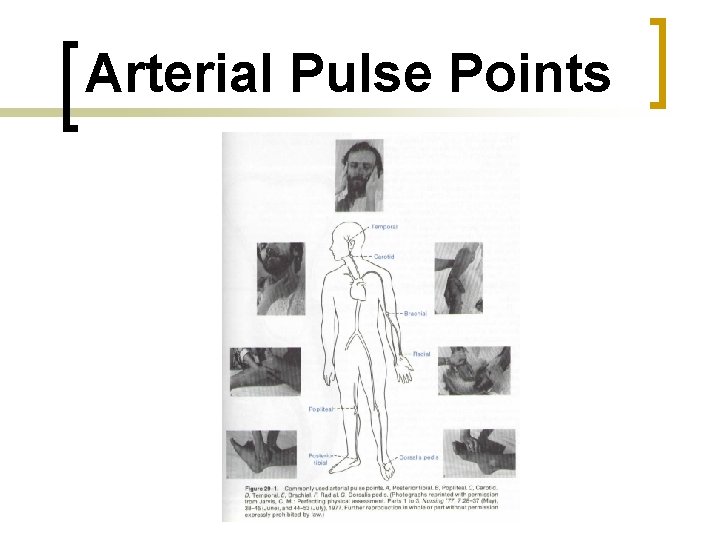 CSI 101 Skills Lab 3 Emergency Assessment of
