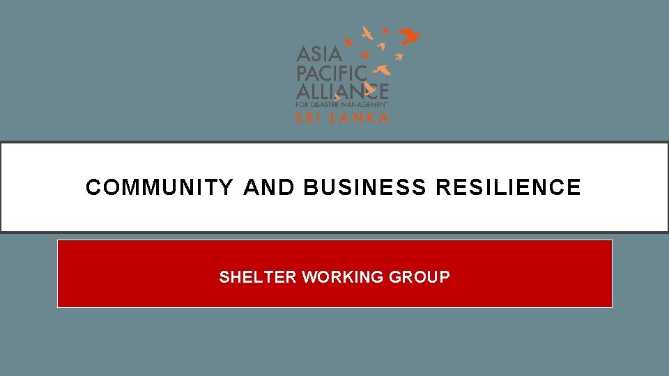 COMMUNITY AND BUSINESS RESILIENCE SHELTER WORKING GROUP EFFECT