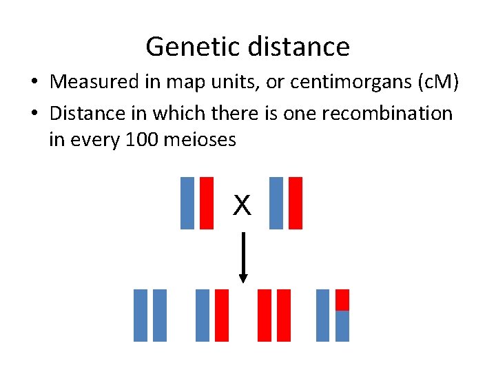 Types of genome maps Physical based on bp