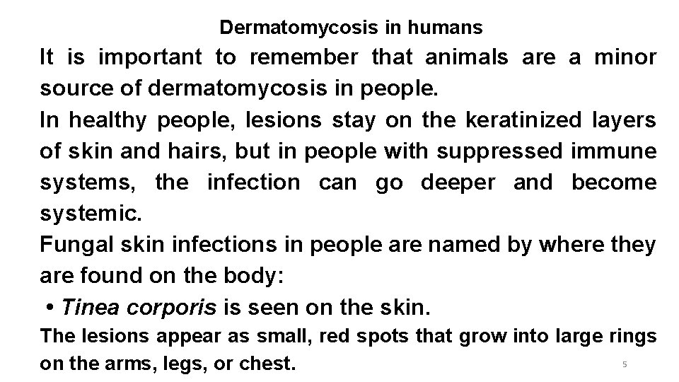 Dermatomycosis A dermatomycosis is a highly contagious skin