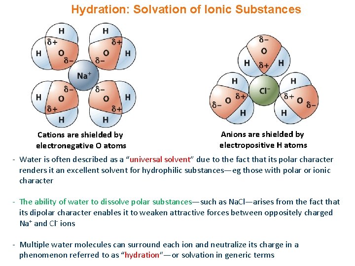 I MEMBRANE BIOCHEMISTRY 1 4 Biological Membranes 1