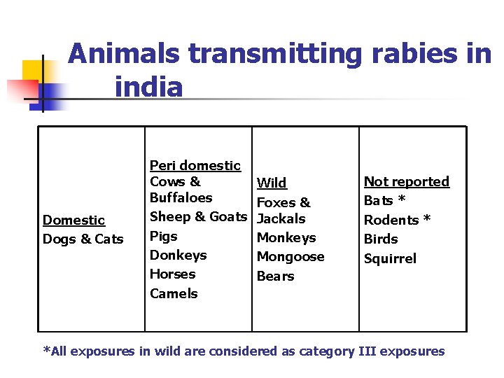 Rabies What type of virus is rabies virus