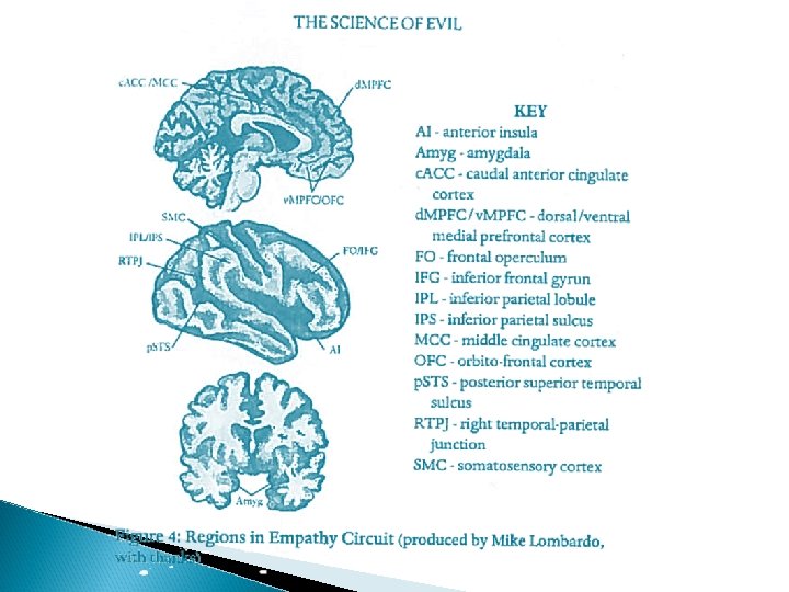The Science of Evil On Empathy and the