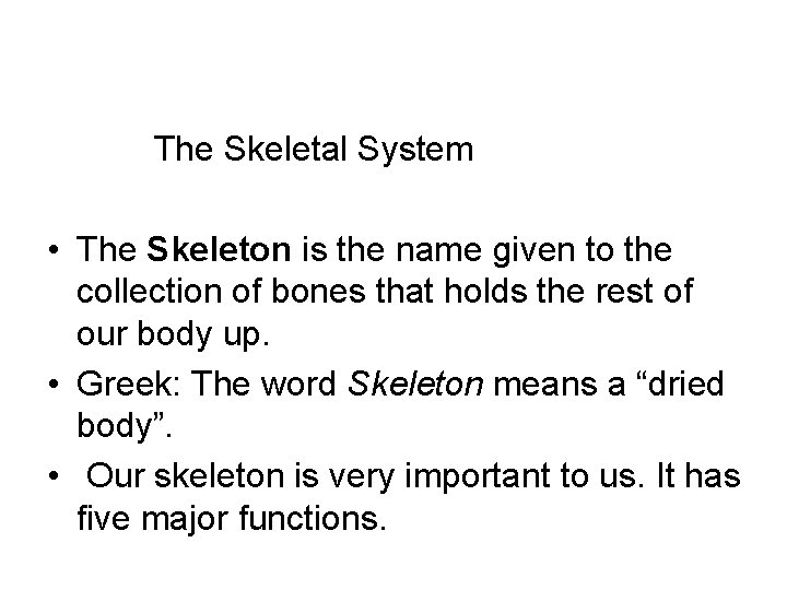 The Skeletal System The Skeleton is the name