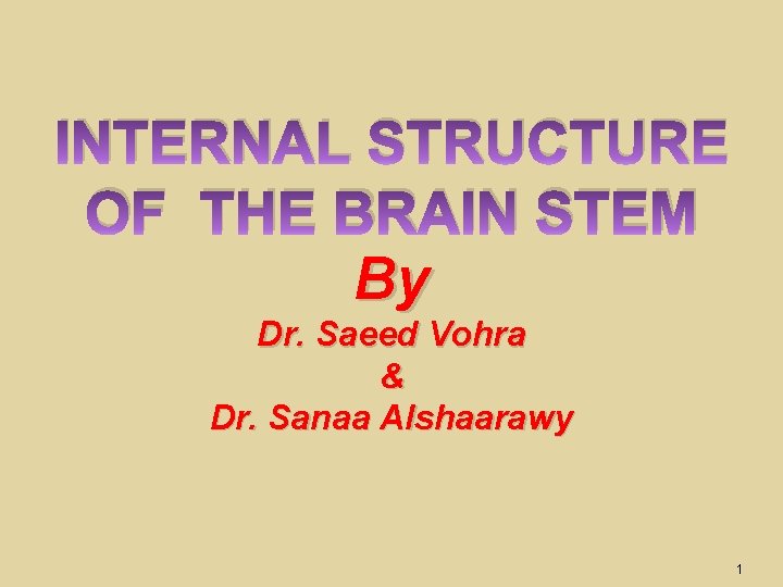 INTERNAL STRUCTURE OF THE BRAIN STEM By Dr