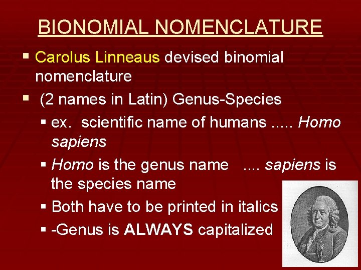 Classification grouping of different types of organisms based