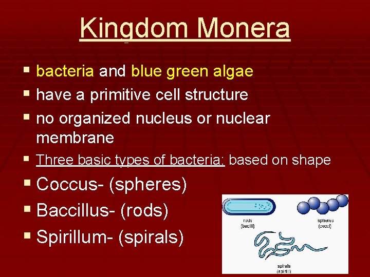 Classification grouping of different types of organisms based