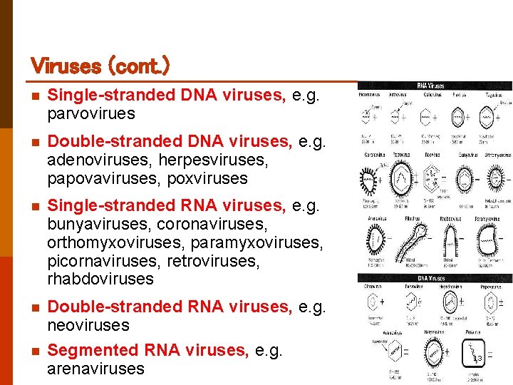 Learning objectives At the end of the lecture
