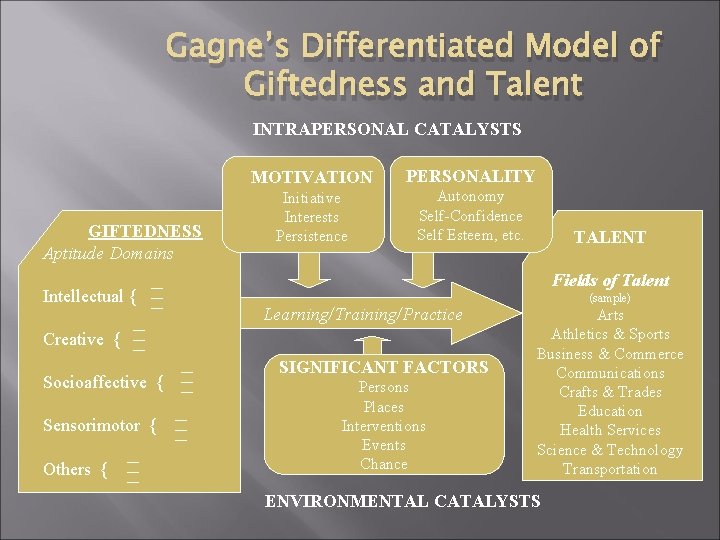 THE STATE OF THE ART OF GIFTED EDUCATION