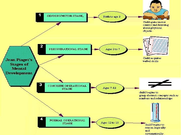 Child Development Goals Normal development provides roadmap for