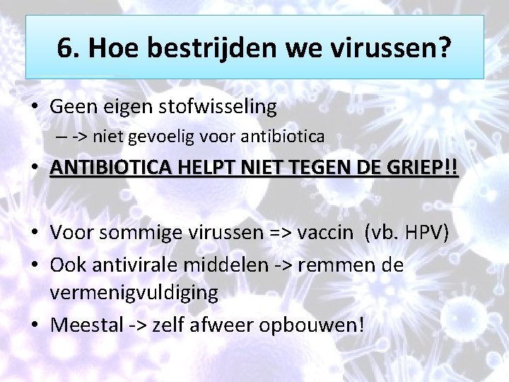 1 Bouw van virussen 1 Bouw van virussen