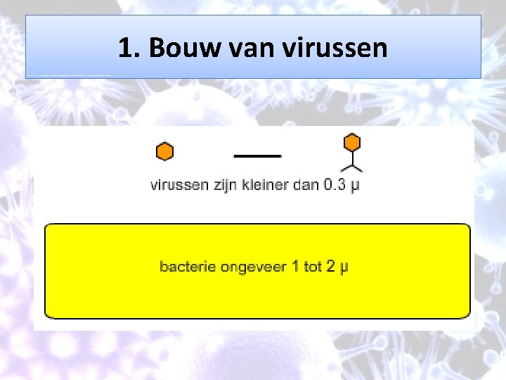 1 Bouw van virussen 1 Bouw van virussen