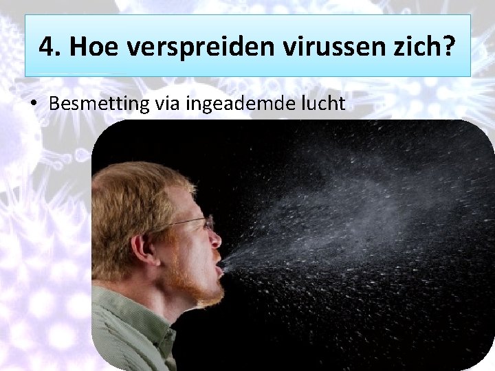 1 Bouw van virussen 1 Bouw van virussen