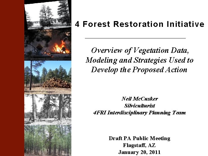 4 Forest Restoration Initiative Overview of Vegetation Data