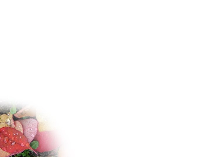 Autumn leaves template Example bullet point slide Bullet