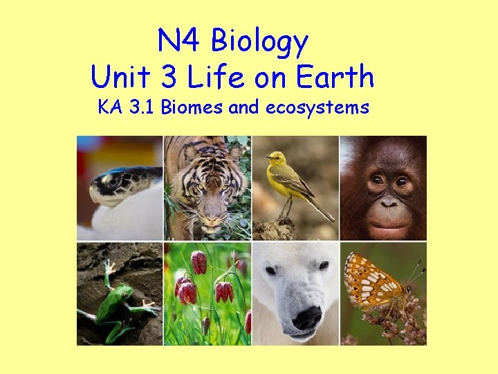 N 4 Biology Unit 3 Life on Earth