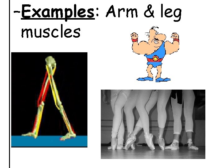 TOPIC Locomotion Aim Explain the structure and functions