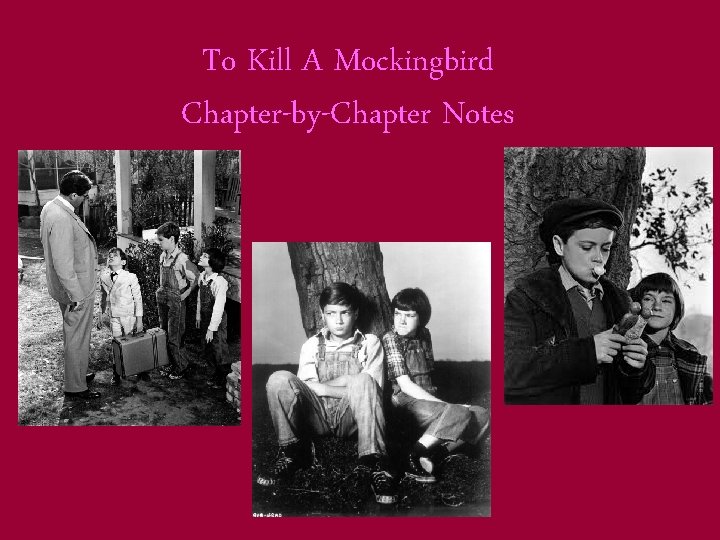 To Kill A Mockingbird ChapterbyChapter Notes Chapter 1