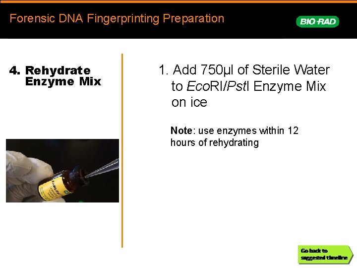 Forensic DNA Fingerprinting Teacher Lab Prep Suggested Timeline