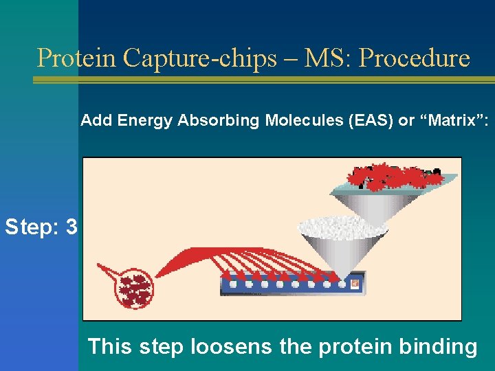 High throughput Protein Measurement Techniques Harin Kanani Proteins