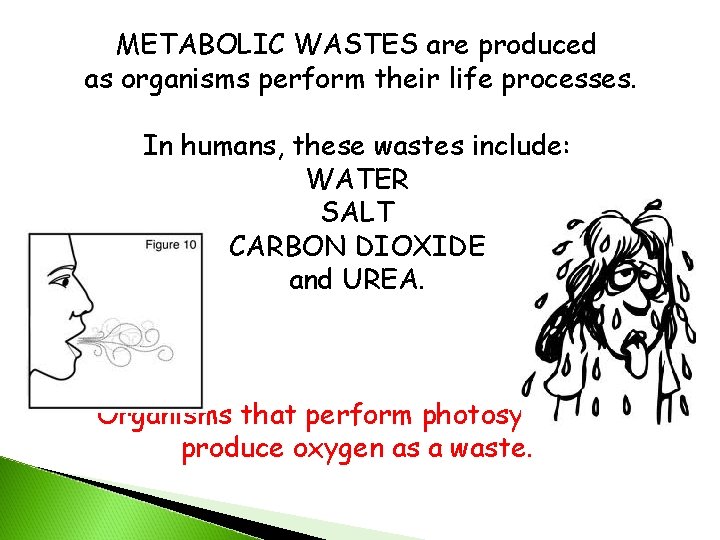 There are 8 things that all Biotic organisms