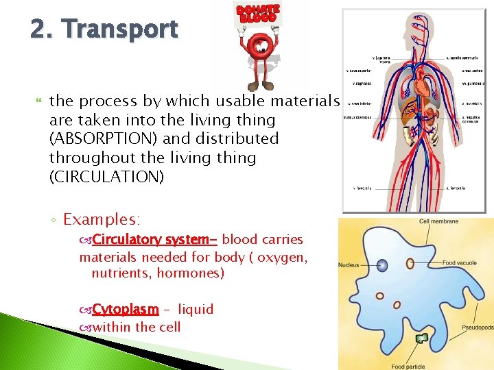 There are 8 things that all Biotic organisms