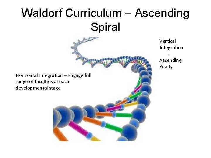 Waldorf Schools Child Study Approach to Education How