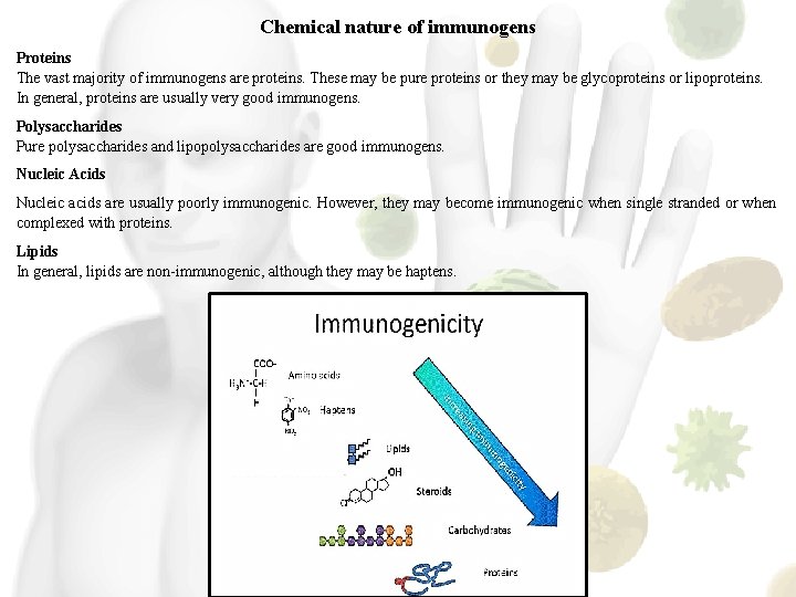 Immunology By Assistant Professor Dr Ahmed Ali Mohammed