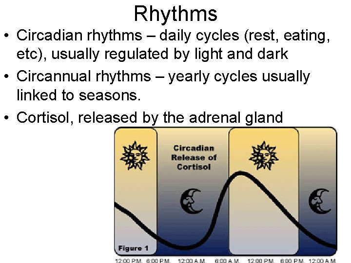 Animal Behavior Magnet Biology Animal Behavior p Behavior