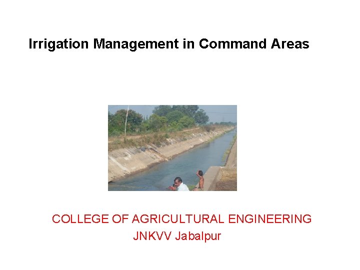 Irrigation Management in Command Areas COLLEGE OF AGRICULTURAL