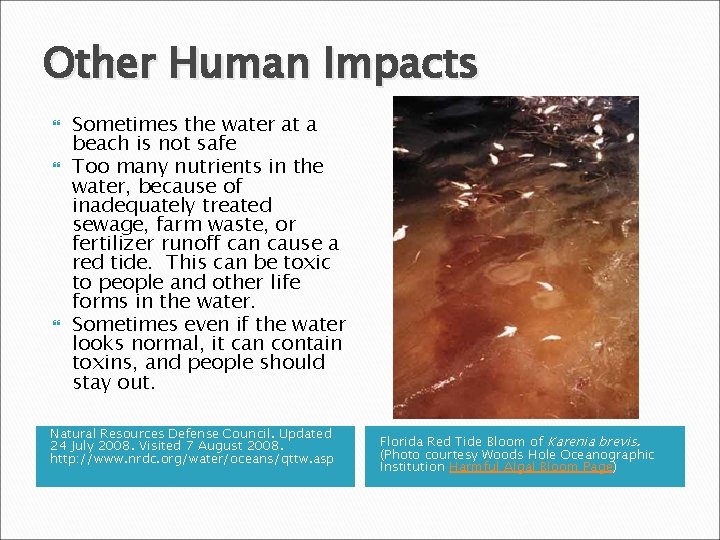 Our Seashores How Humans Impact Beaches A beach