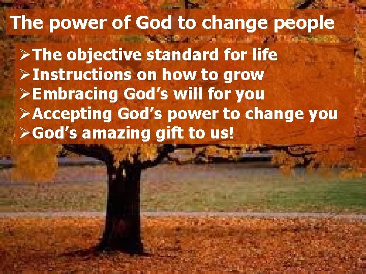 Psalm 119 Gods Word Revelation The Bible is