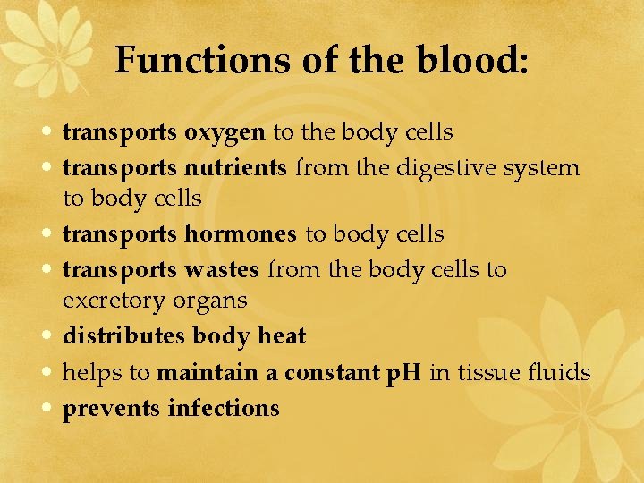 Circulation The Heart and Blood Vessels What is