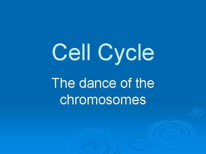 Cell Cycle The dance of the chromosomes 3