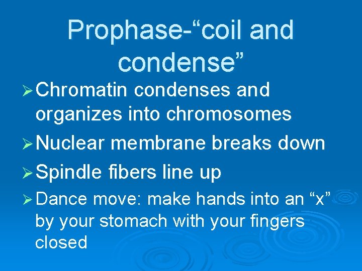 Cell Cycle The dance of the chromosomes 3