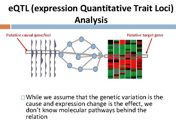 Identifying Causal Genes And Dysregulated Pathways In Complex