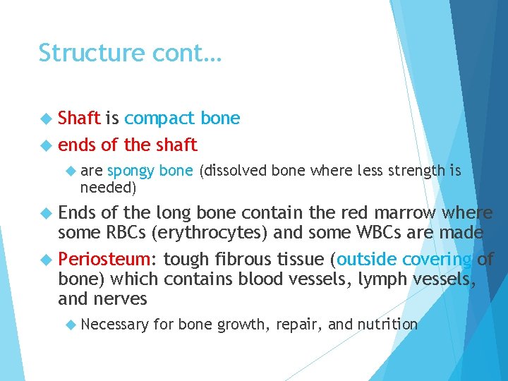The Skeletal System About the Bones It is