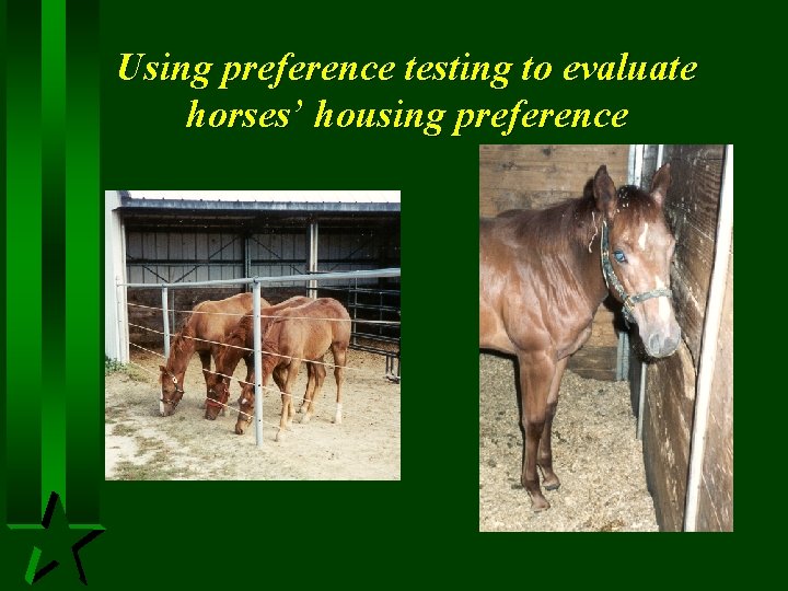 Preference and Motivation Testing as They Relate to