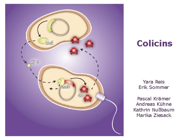 Colicins Yara Reis Erik Sommer Pascal Krmer Andreas