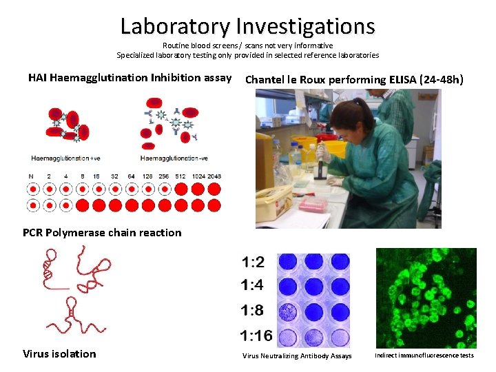 Overview of emerging and detection of arboviral disease