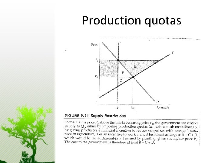 Study Unit 9 The Analysis of Competitive Markets