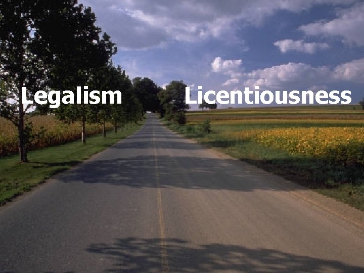 9 Secrets of Healthy Relationships The Fruit of