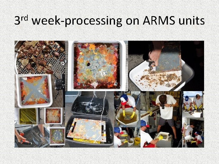 Scientific Exchange Program on Autonomous Reef Monitoring Systems