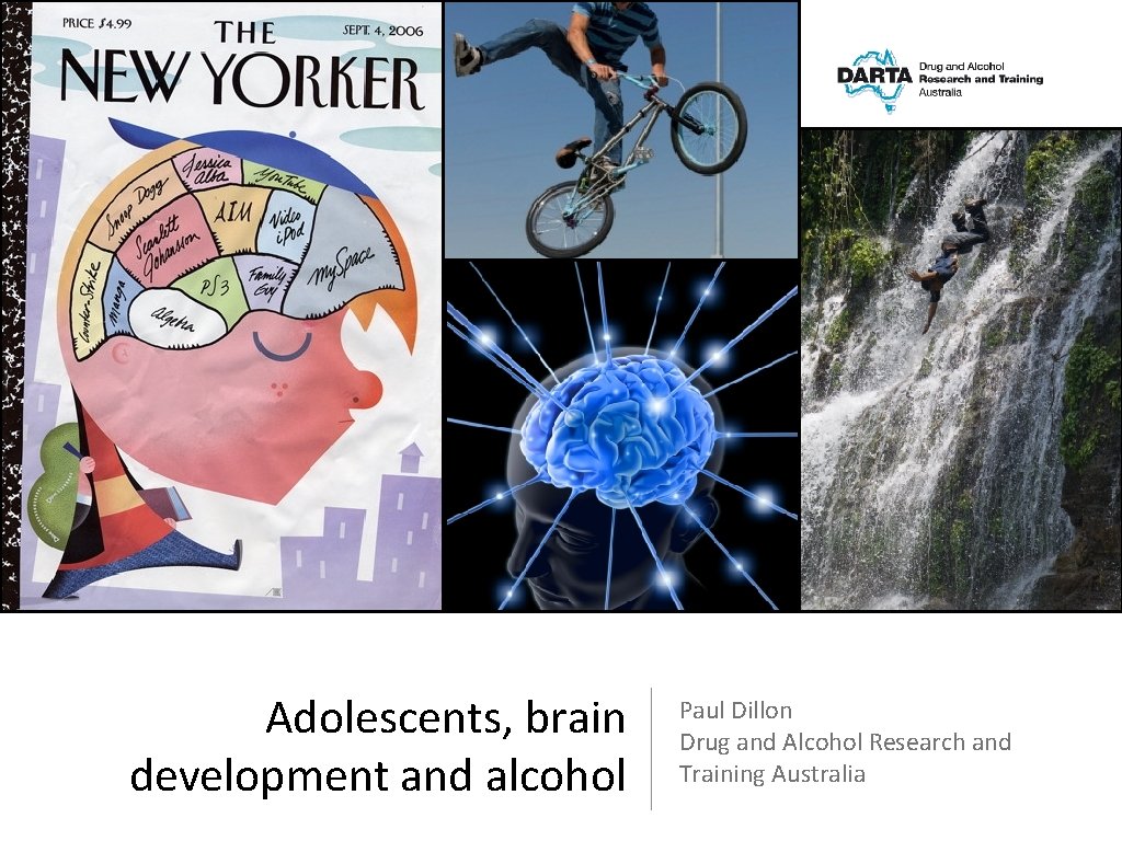 Adolescents brain development and alcohol Paul Dillon Drug