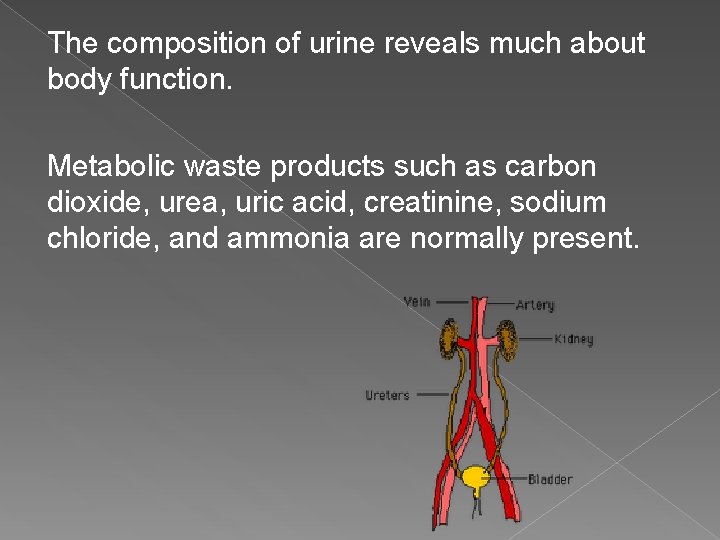 URINALYSI S LAB 1 Objectives 1 Know the