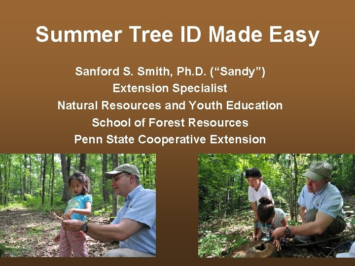 Summer Tree ID Made Easy Sanford S Smith